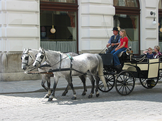 Standorte ERA Austria